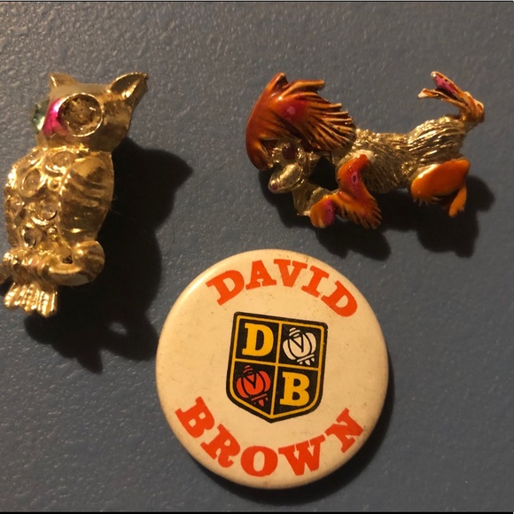 Accessories | Vintage Pin Collection | Poshmark